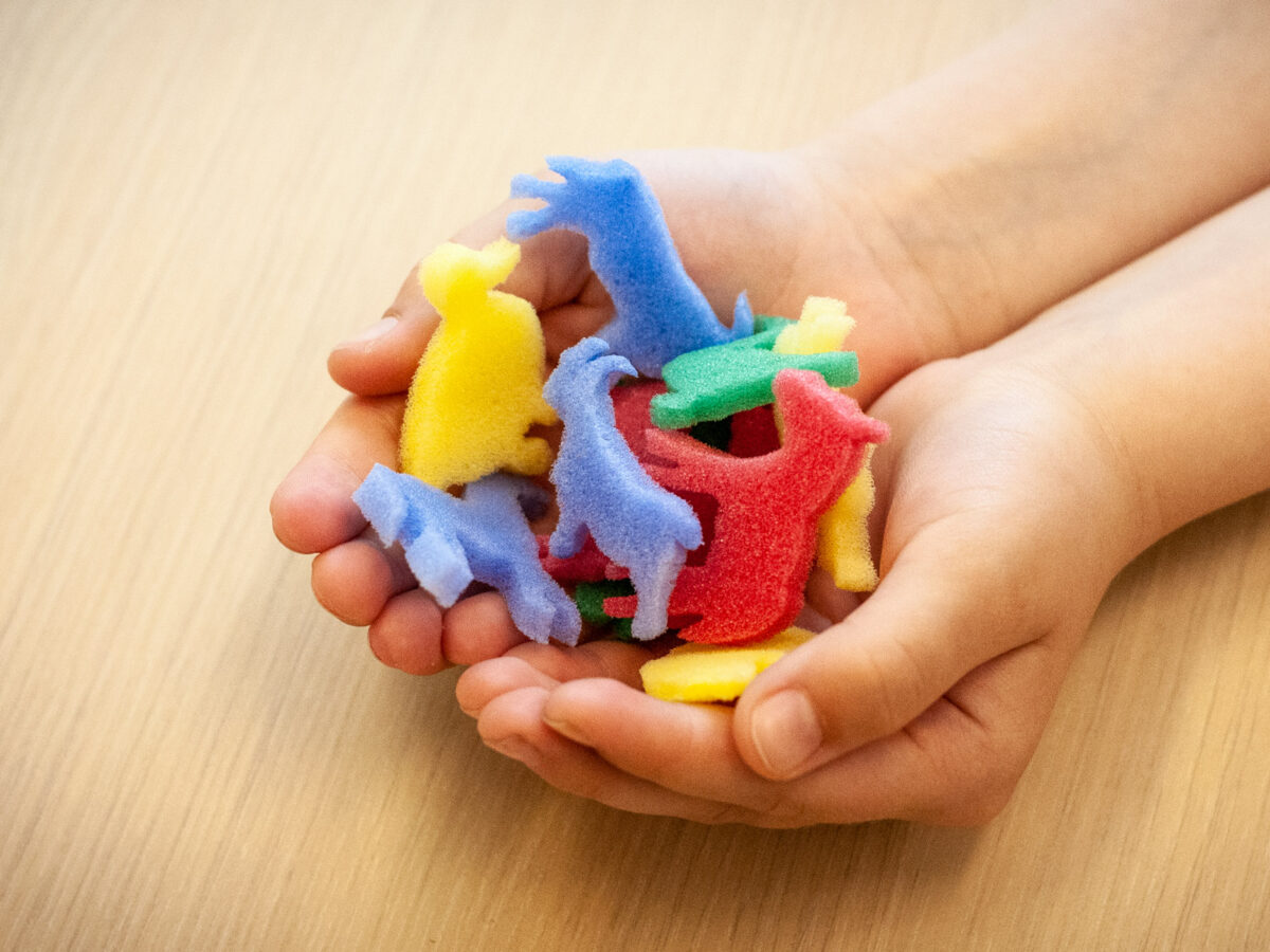 CAPSULE FERMECĂTOARE, JUCĂRII PENTRU BAIE, ZOO ANIMALE – Cadouri fantastice